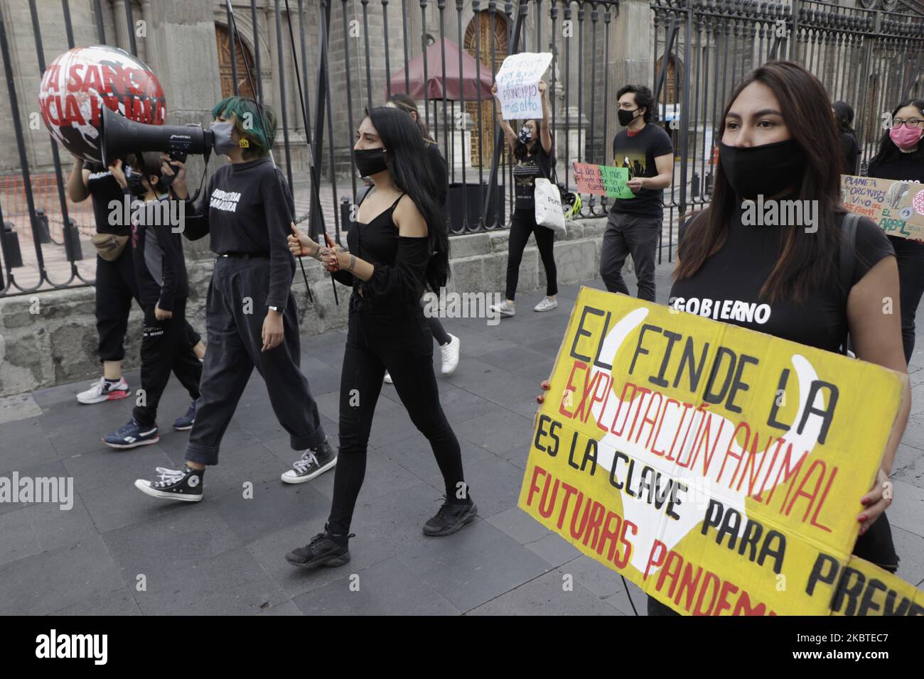 Members of the organization Animal Rebellion Mexico, an international ...