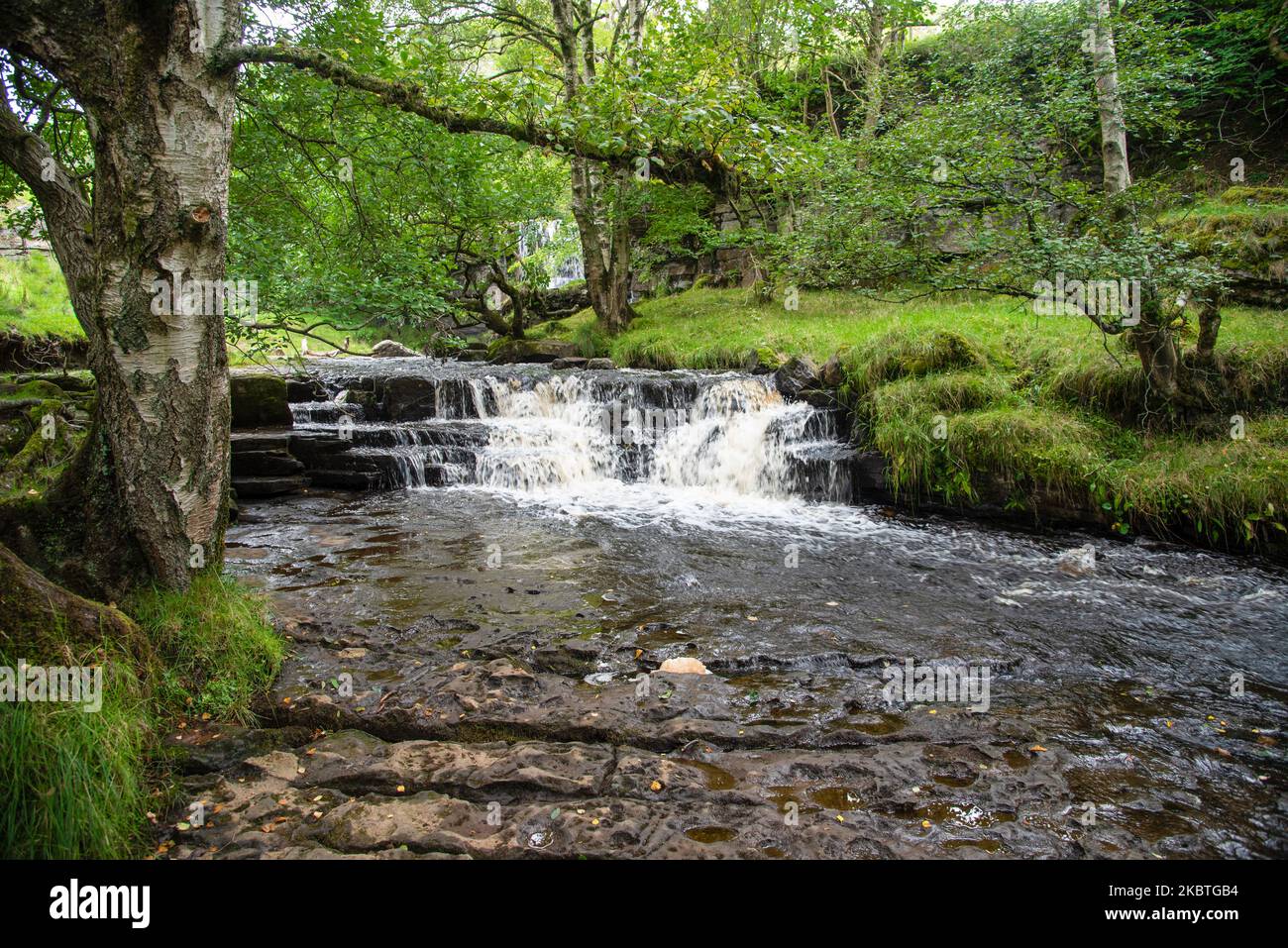 East Gill Force is a waterfall in Swaledale near Kled in the Yorkshire ...