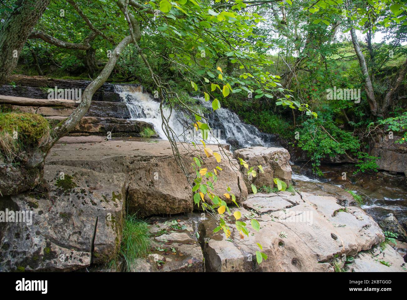 East Gill Force is a waterfall in Swaledale near Kled in the Yorkshire ...