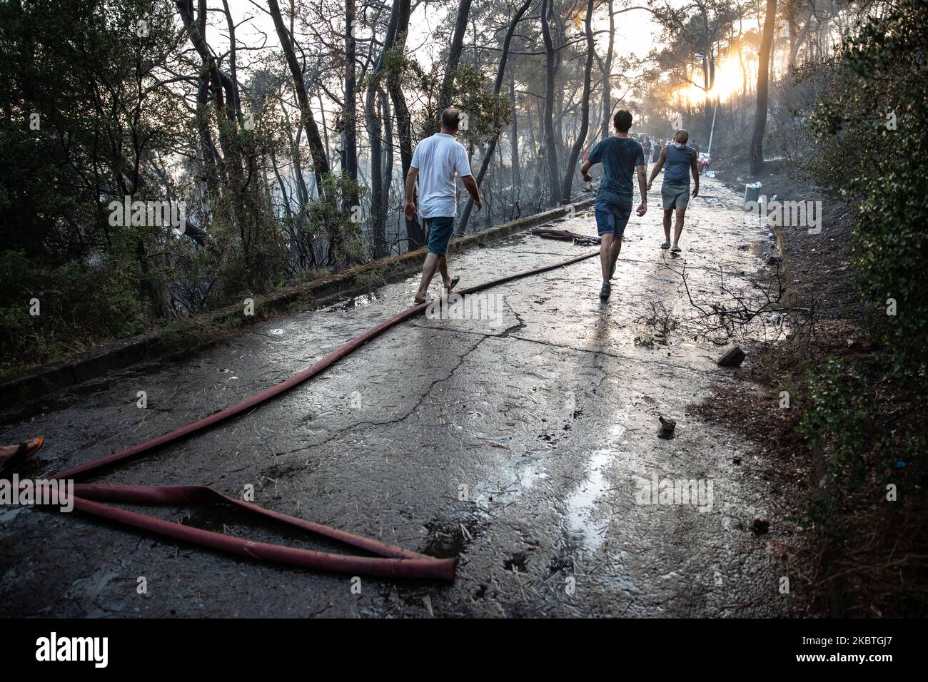 The fire that broke out at two different points in the forest area in ...