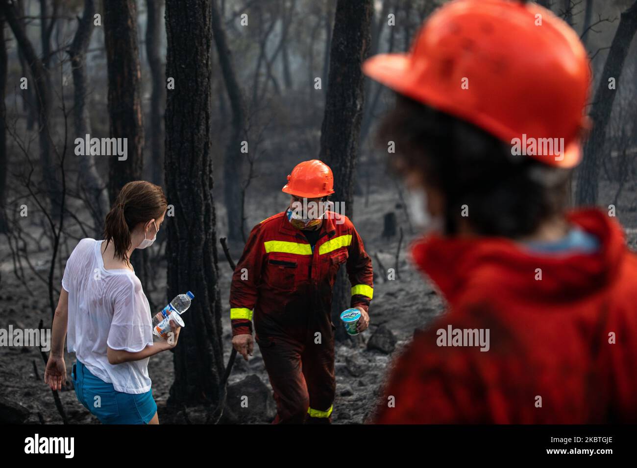 The fire that broke out at two different points in the forest area in ...