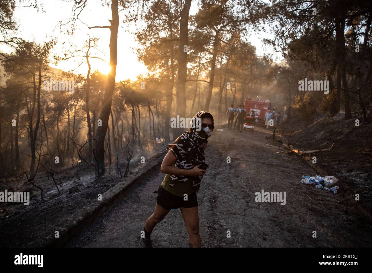 The fire that broke out at two different points in the forest area in ...