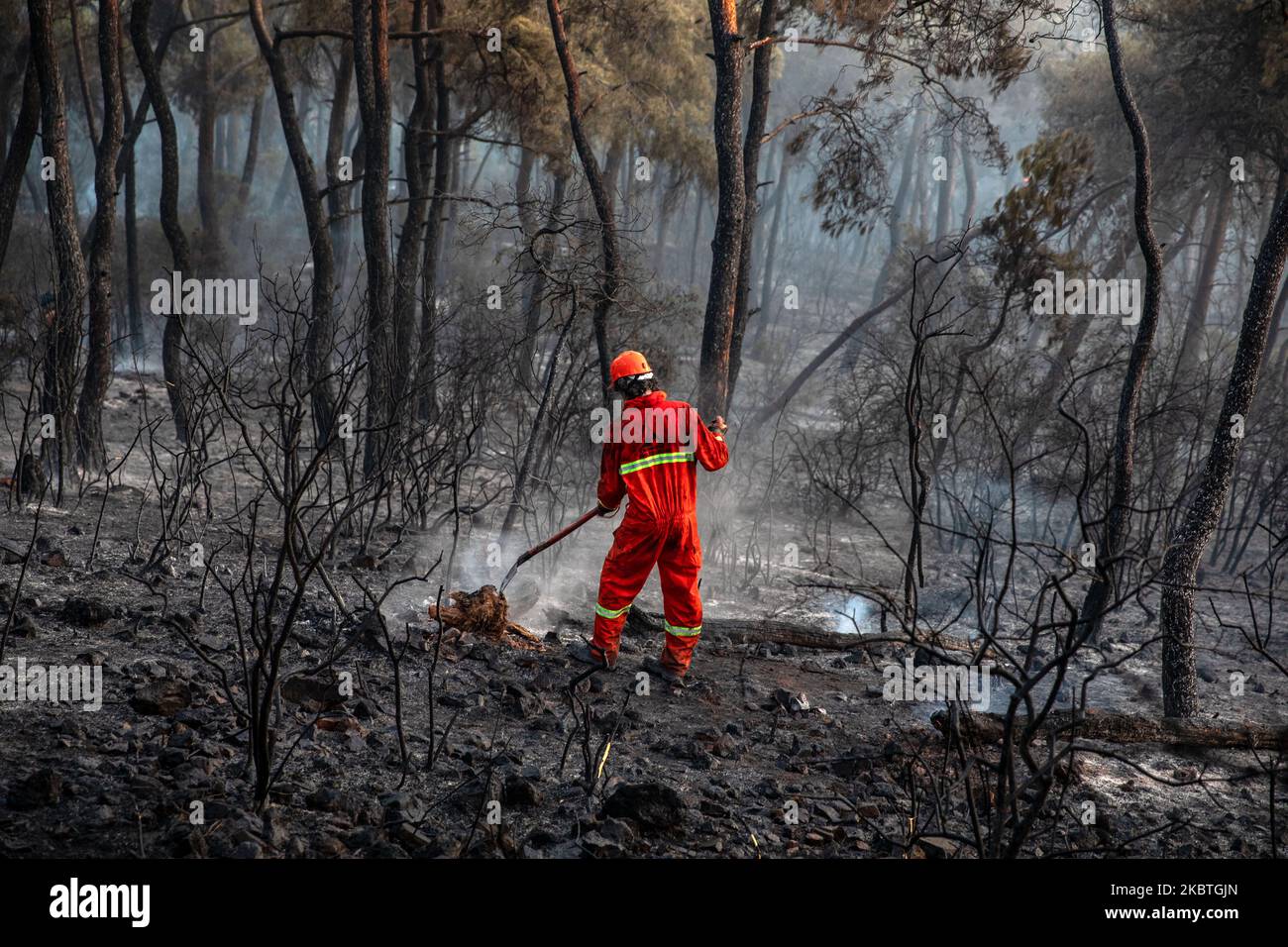 The fire that broke out at two different points in the forest area in ...