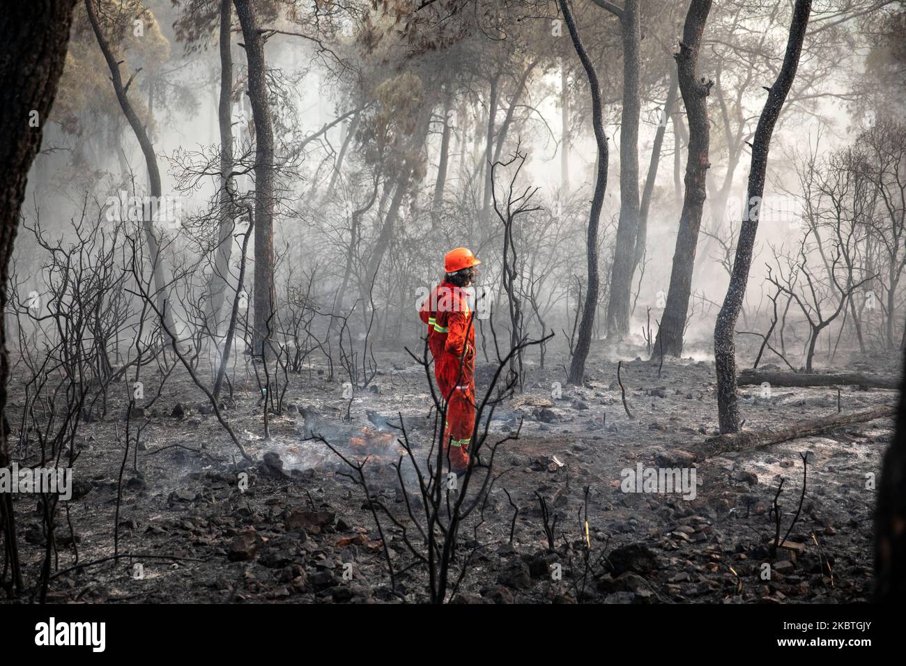 The fire that broke out at two different points in the forest area in ...
