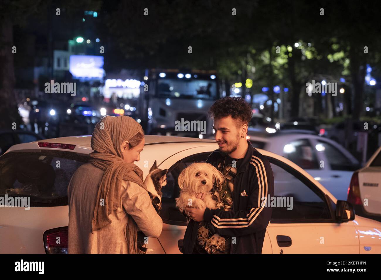 Iranian people with pets hi-res stock photography and images - Alamy
