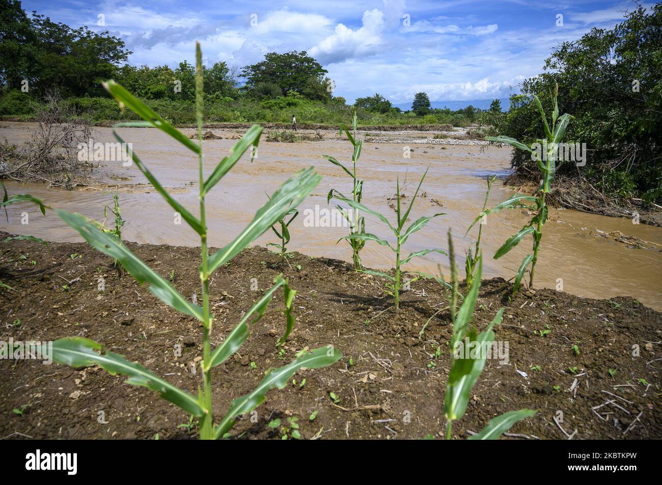 Farmers witnessed their garden land being eroded by abrased river water ...