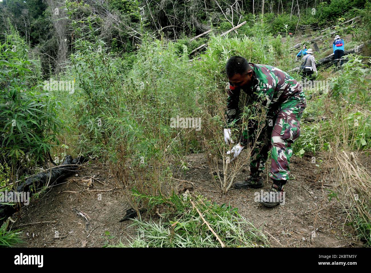 Lamreh village hi-res stock photography and images - Alamy
