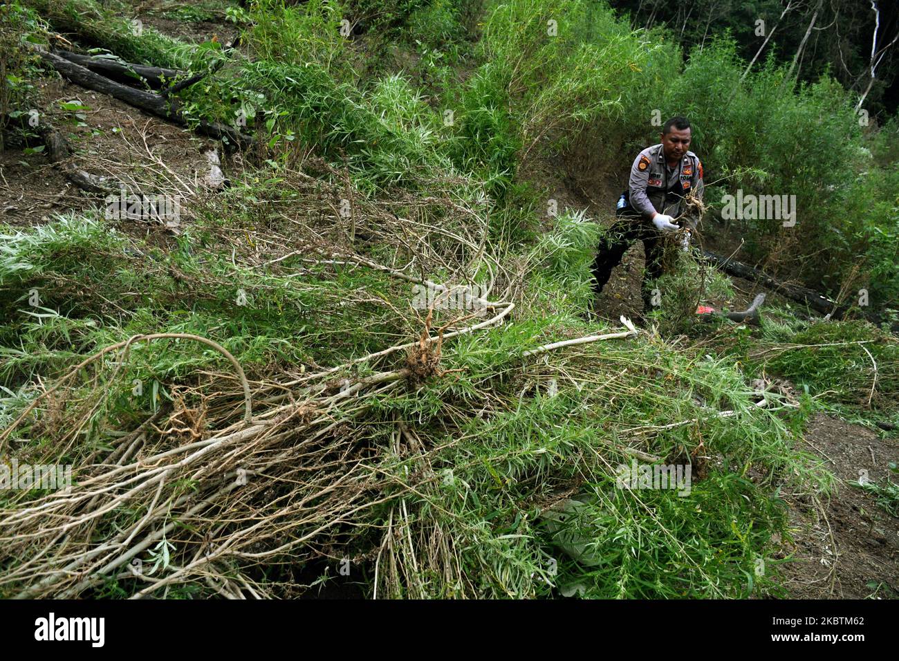Lamreh village hi-res stock photography and images - Alamy