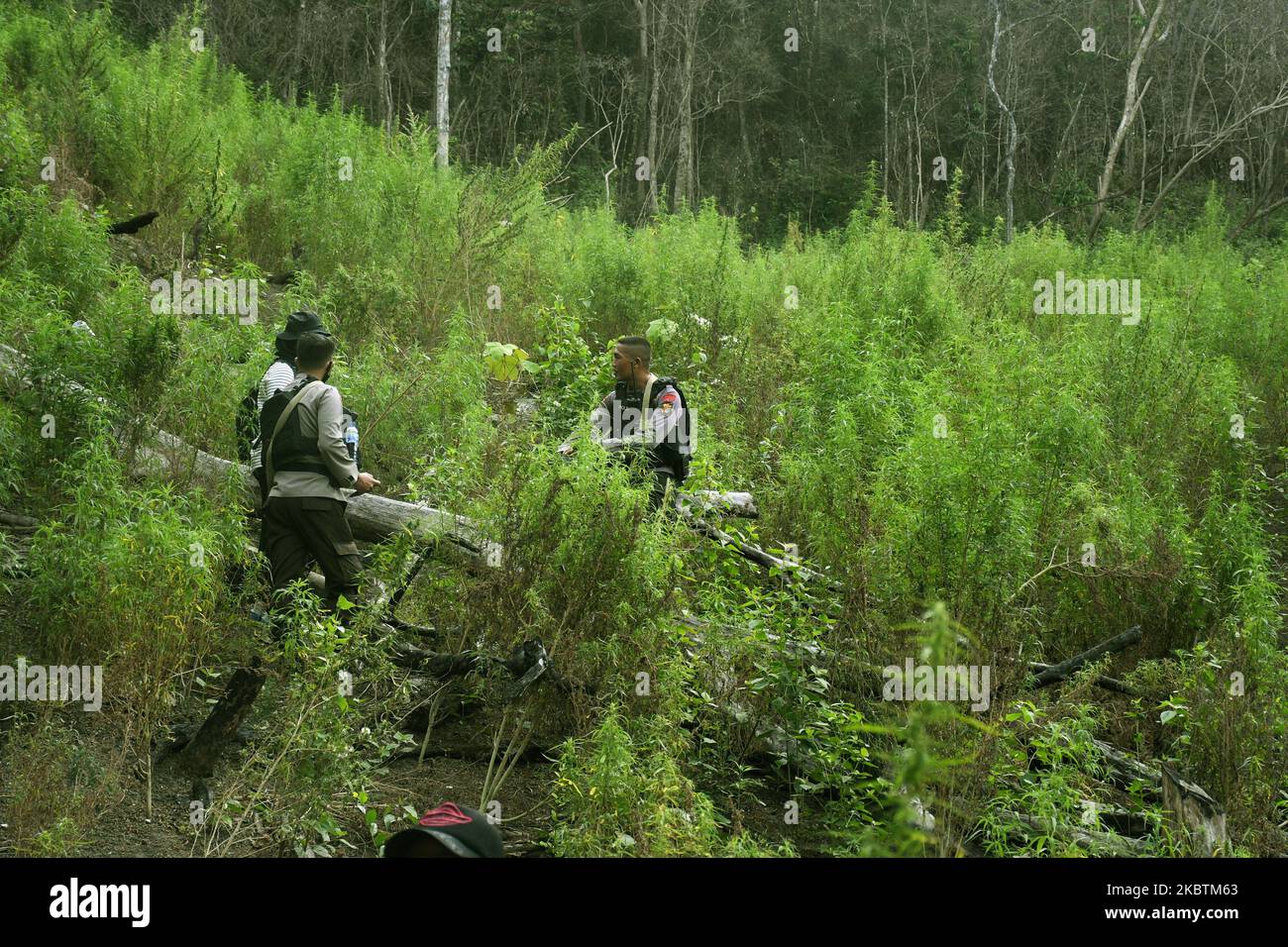Lamreh village hi-res stock photography and images - Alamy