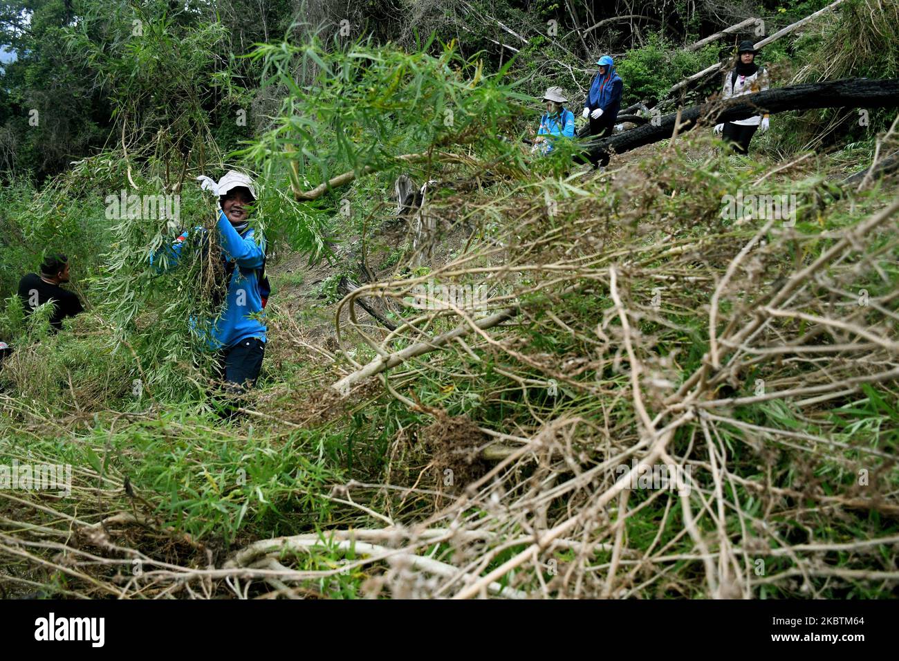 Lamreh village hi-res stock photography and images - Alamy