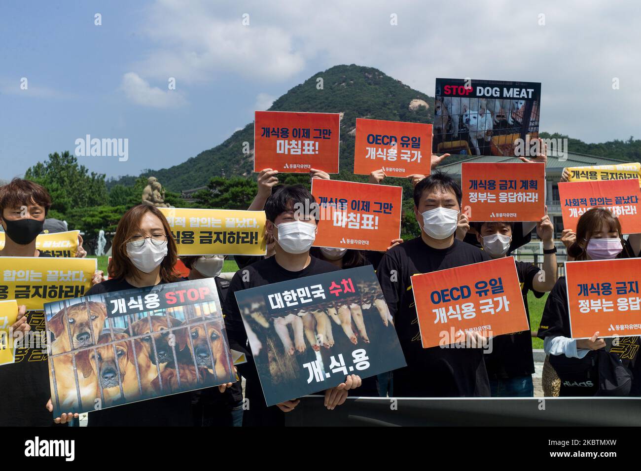 Dog meat ban law hi-res stock photography and images - Alamy