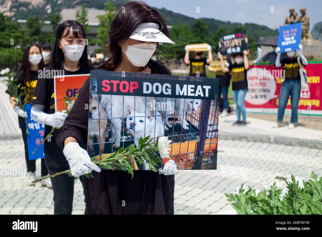 Dog meat ban law hi-res stock photography and images - Alamy