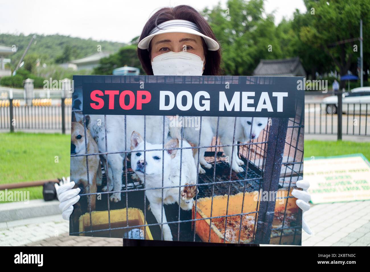 A Member of the Animal Freedom Solidarity hold a placard during a rally ...