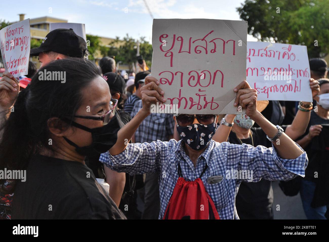 Pro-democracy displaying a placard during protesters calling for the ...