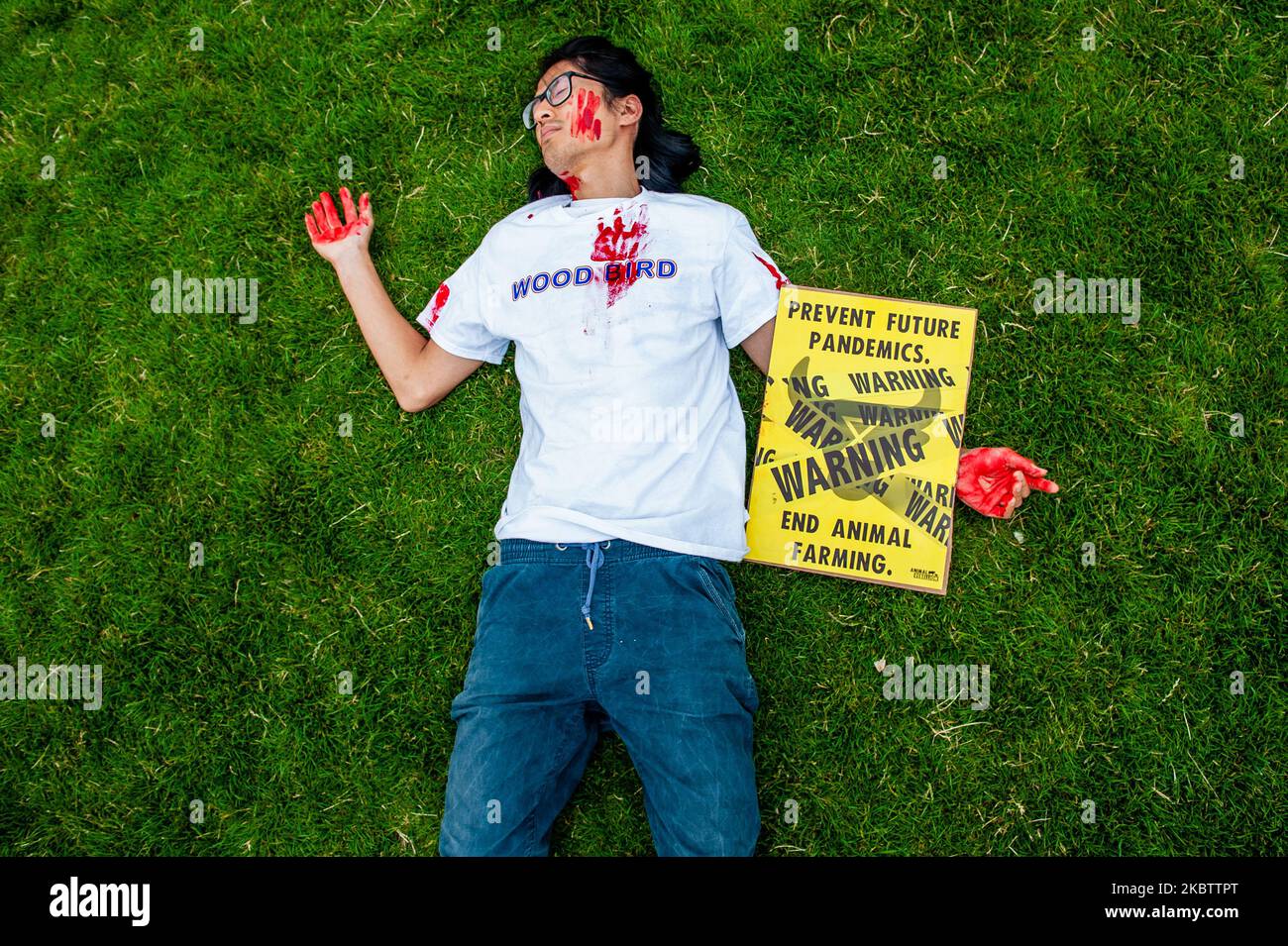 The climate activists are carrying out a Die-In action, during a 'Blood ...