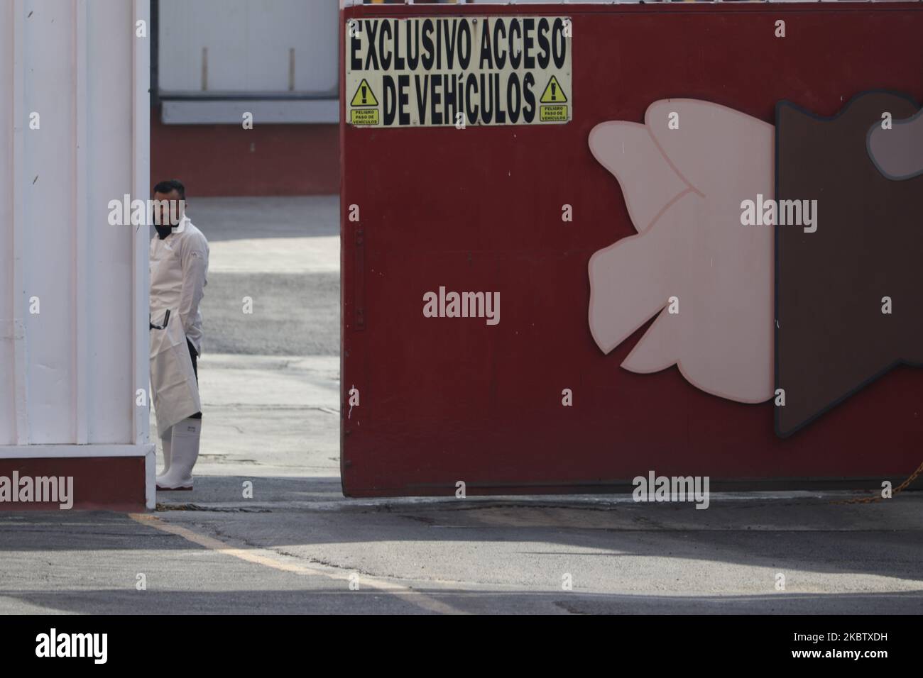 A worker at the La Paz meat processing plant, State of Mexico, observes ...