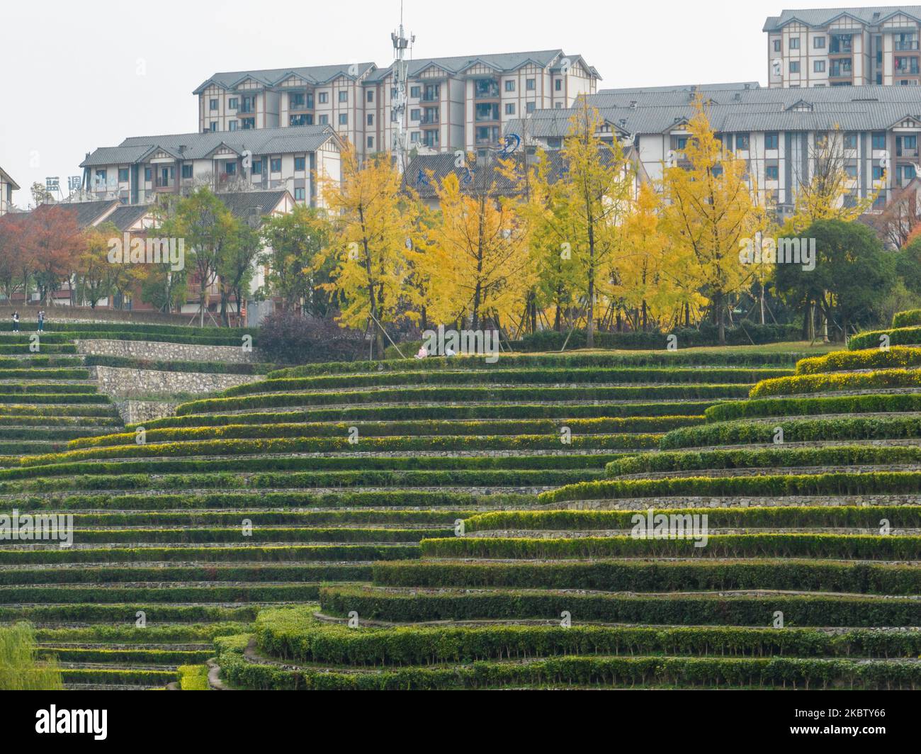BIJIE, CHINA - NOVEMBER 4, 2022 - Aerial photo shows the rice terraces ...