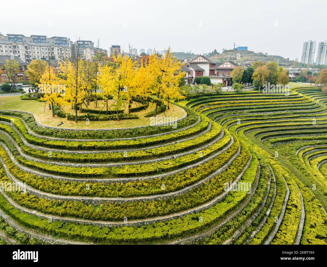 BIJIE, CHINA - NOVEMBER 4, 2022 - Aerial photo shows the rice terraces ...