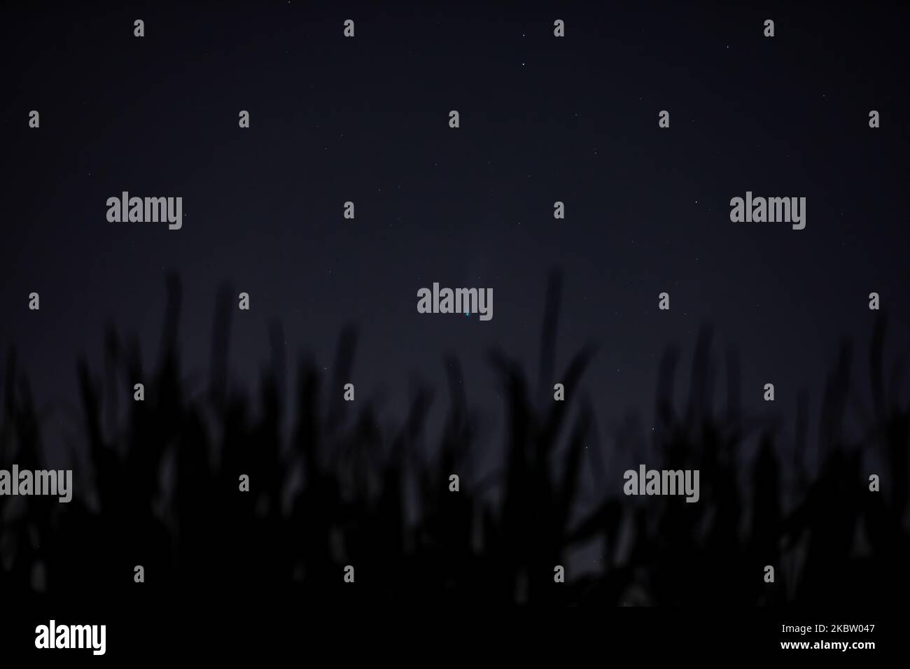 Alessandro bremec nurphoto hi-res stock photography and images - Alamy