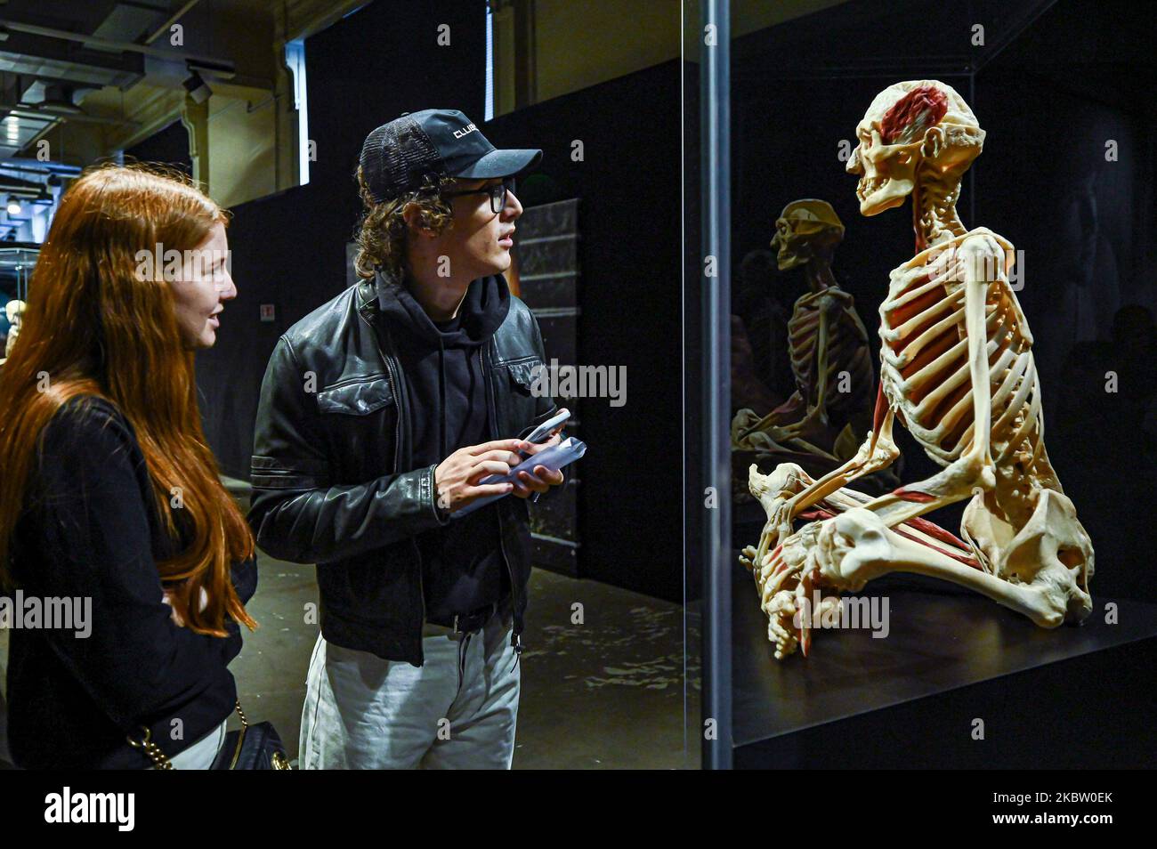 Hiuman body hi-res stock photography and images - Alamy