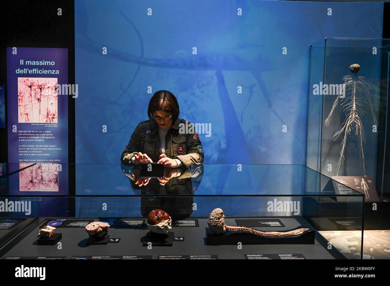 Hiuman body hi-res stock photography and images - Alamy