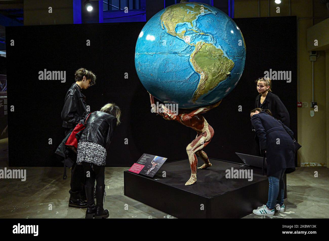 Hiuman body hi-res stock photography and images - Alamy