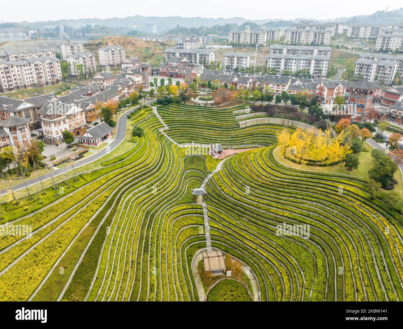 BIJIE, CHINA - NOVEMBER 4, 2022 - Aerial photo shows the rice terraces ...