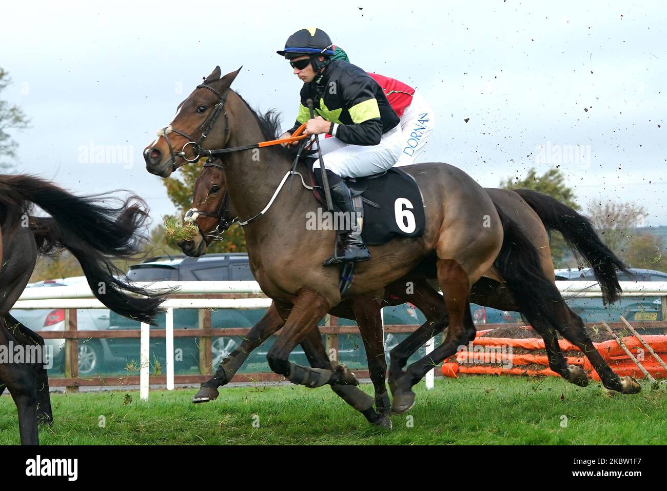 Magical zoe horse hi-res stock photography and images - Alamy