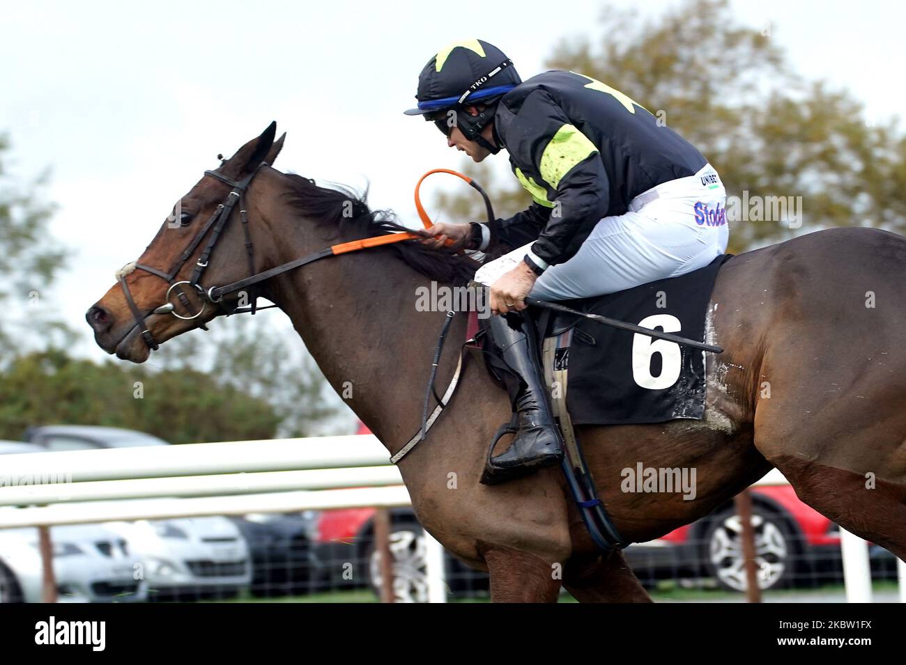 Magical zoe horse hi-res stock photography and images - Alamy