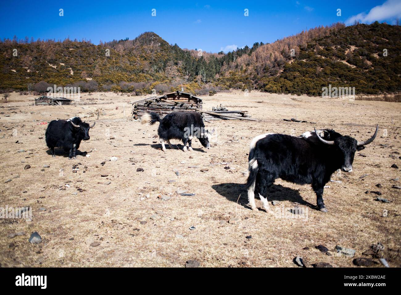 Pudacuo, China, the 14 december, 2011. A view of the valley of the ...