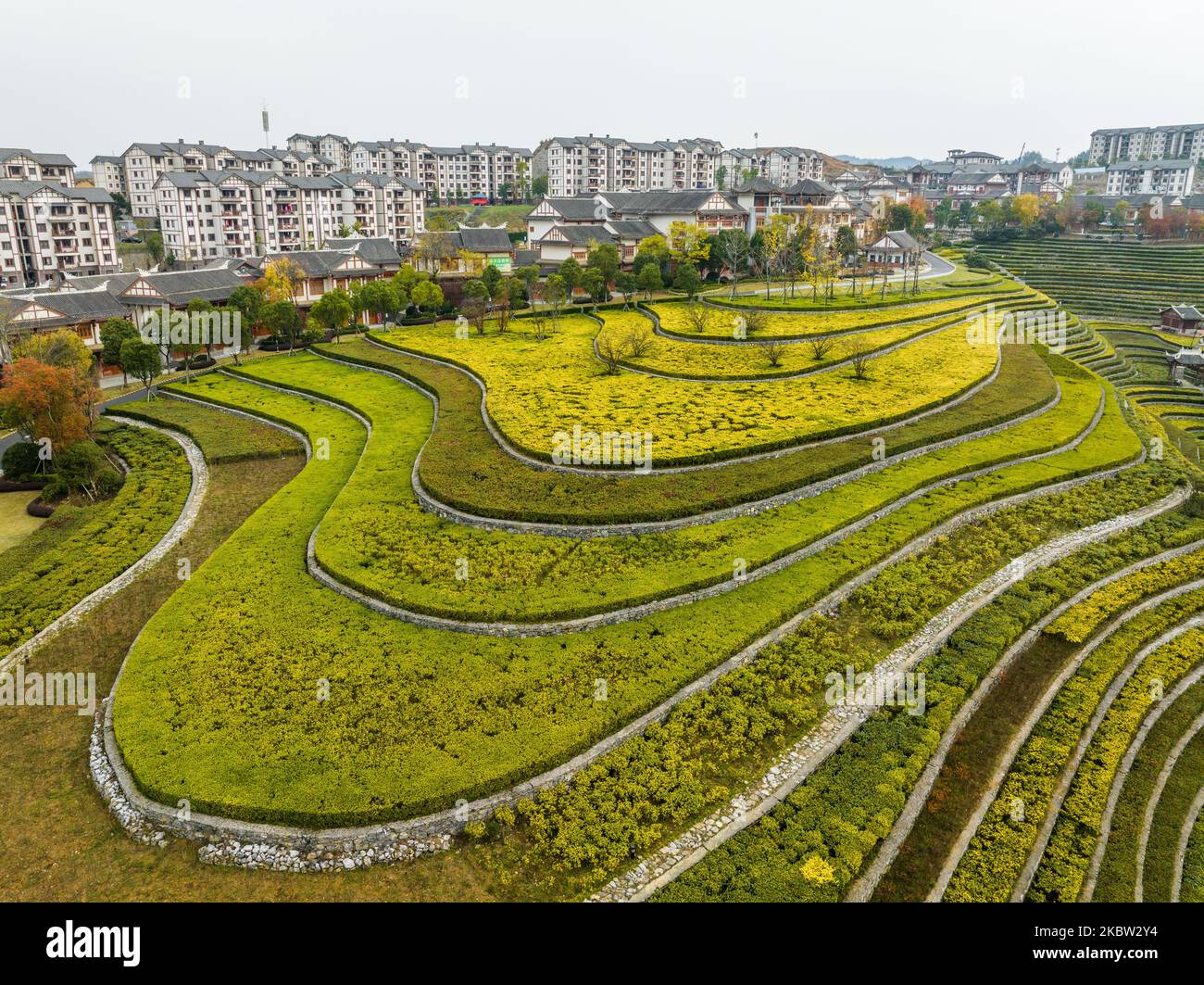 BIJIE, CHINA - NOVEMBER 4, 2022 - Aerial photo shows the rice terraces ...