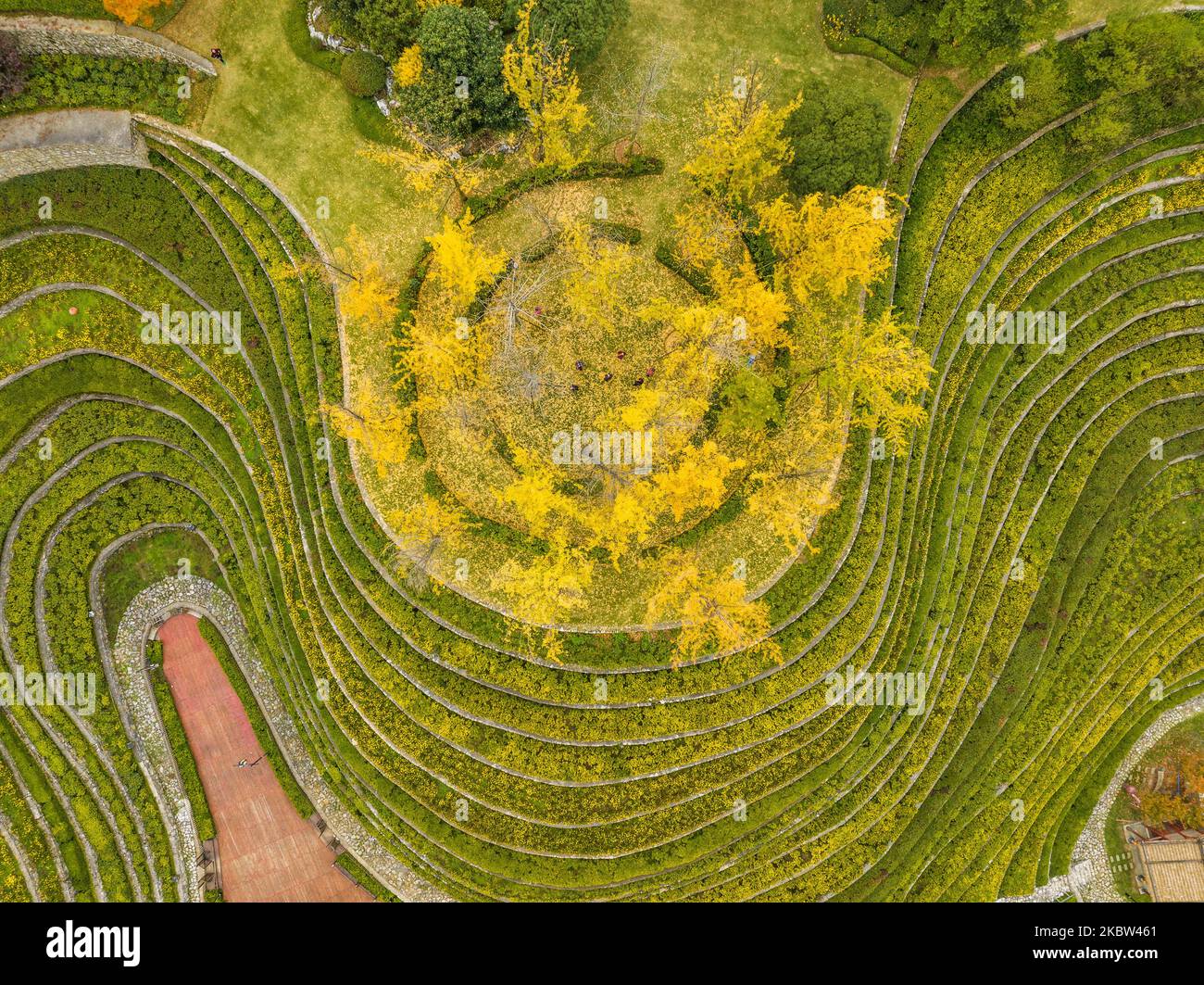 BIJIE, CHINA - NOVEMBER 4, 2022 - Aerial photo shows the rice terraces ...