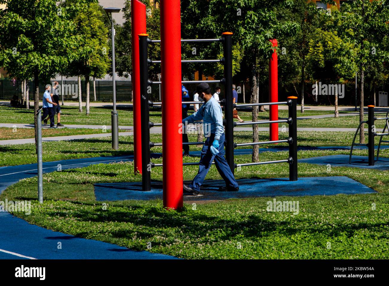 Bam tree library hi-res stock photography and images - Alamy