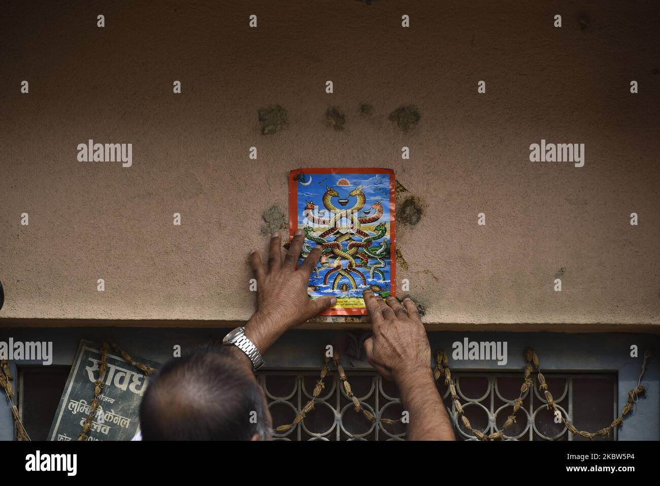 A Nepalese devotee sticks a poster of a snake god at the main entrance ...