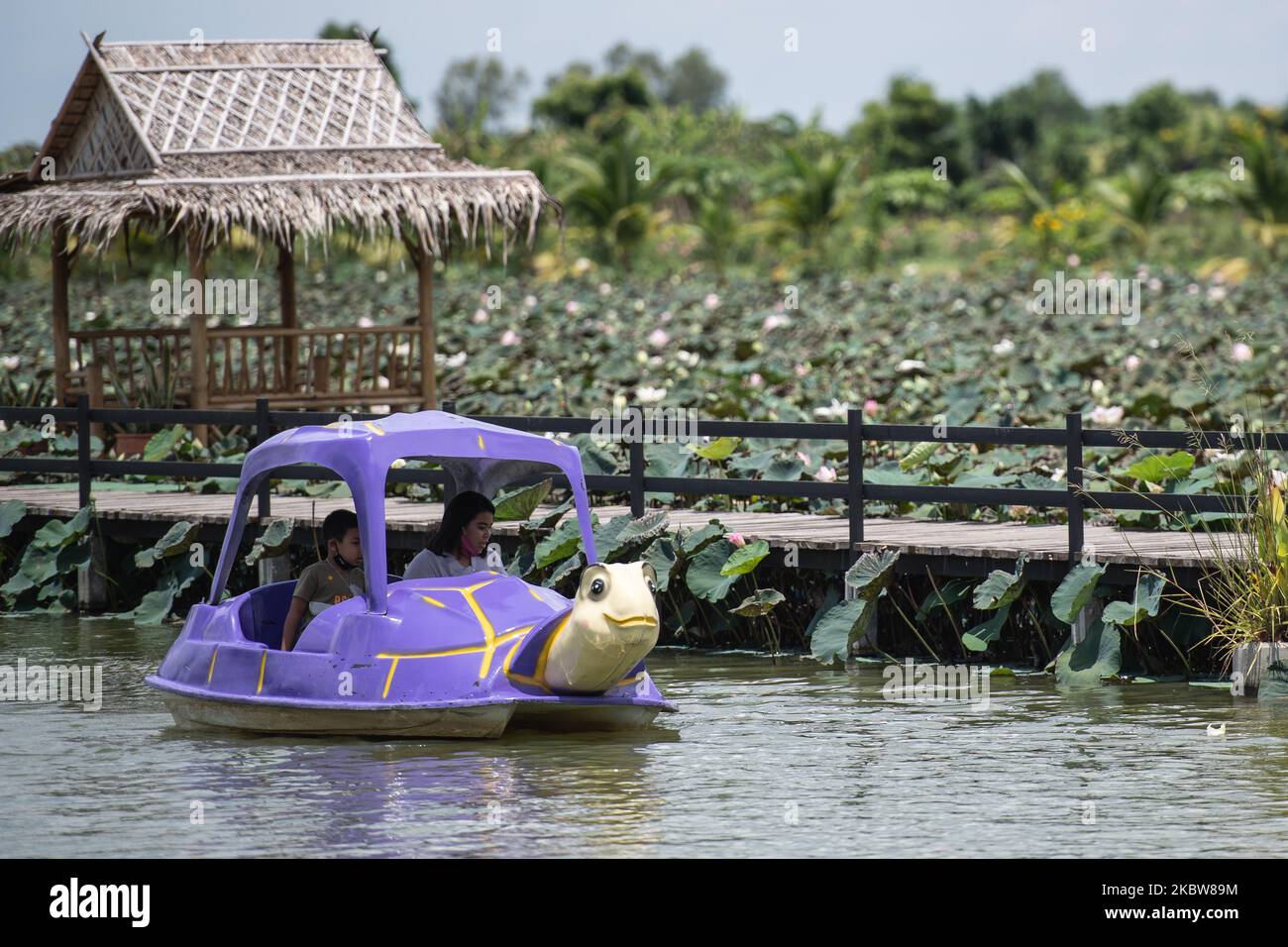 A woman and a boy take a water-cycle in the swamp of the agricultural ...