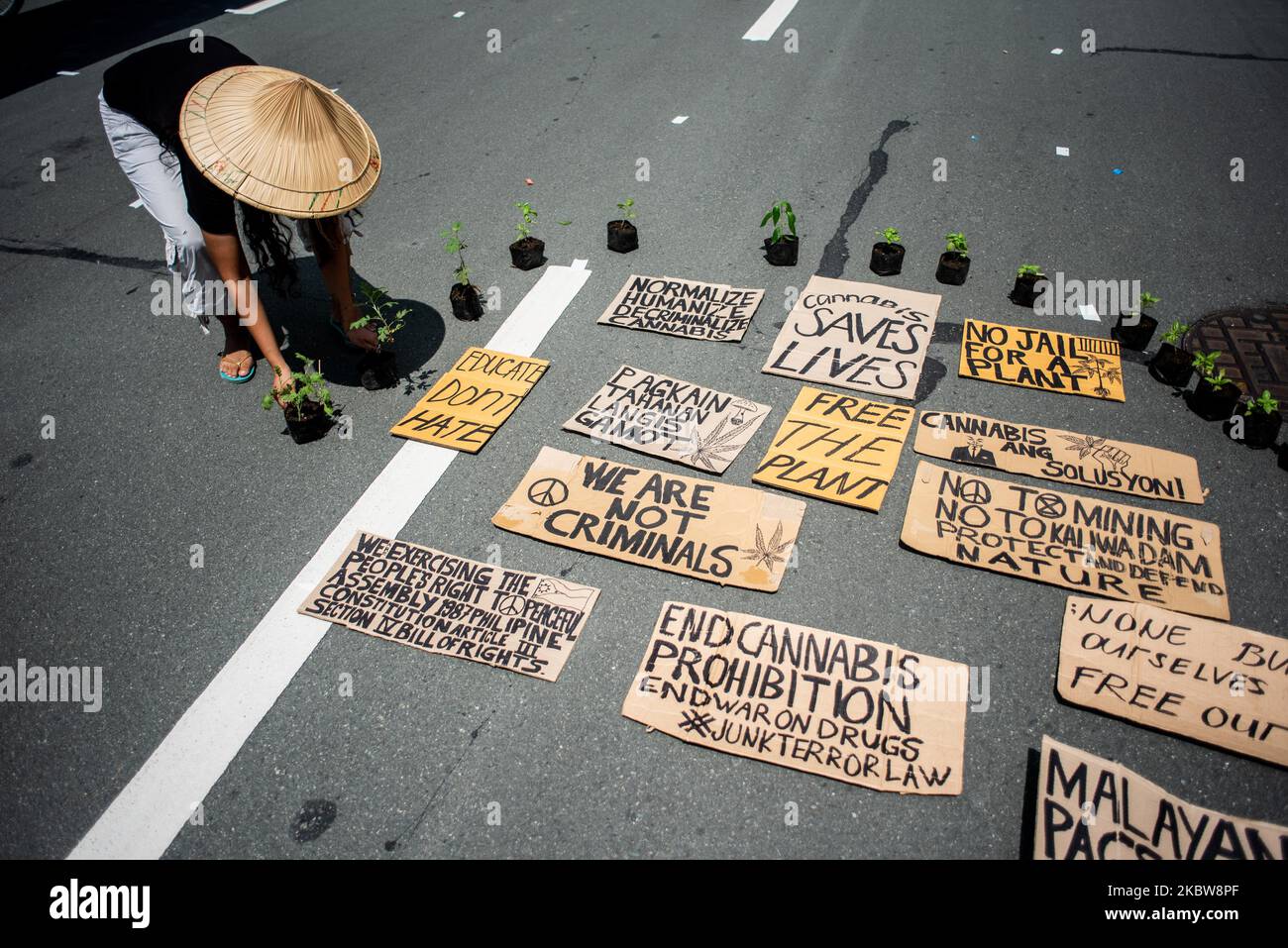A protester calling for the legalization of cannabis places surrounds ...