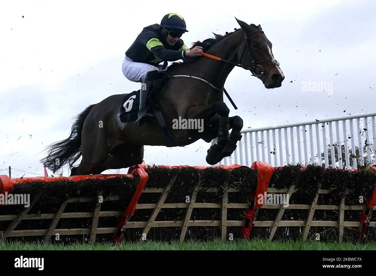 Magical zoe horse hi-res stock photography and images - Alamy