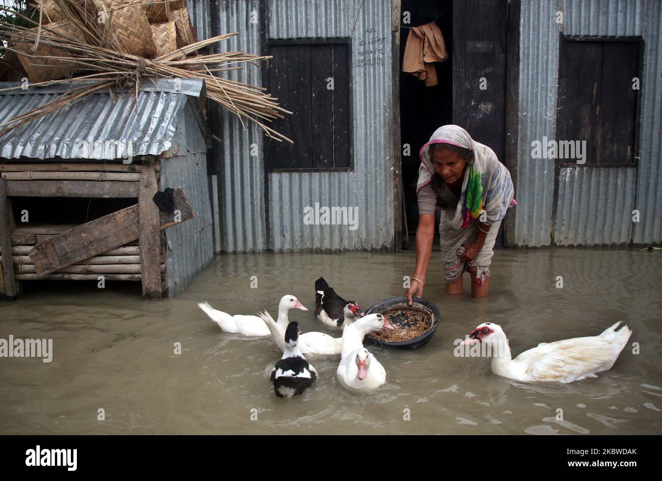 Louhajang upazila hi-res stock photography and images - Alamy