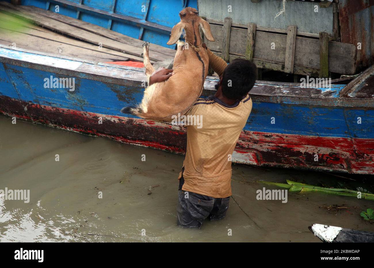 Floodwater has inundated a village at Louhajang upazila in Munshiganj ...