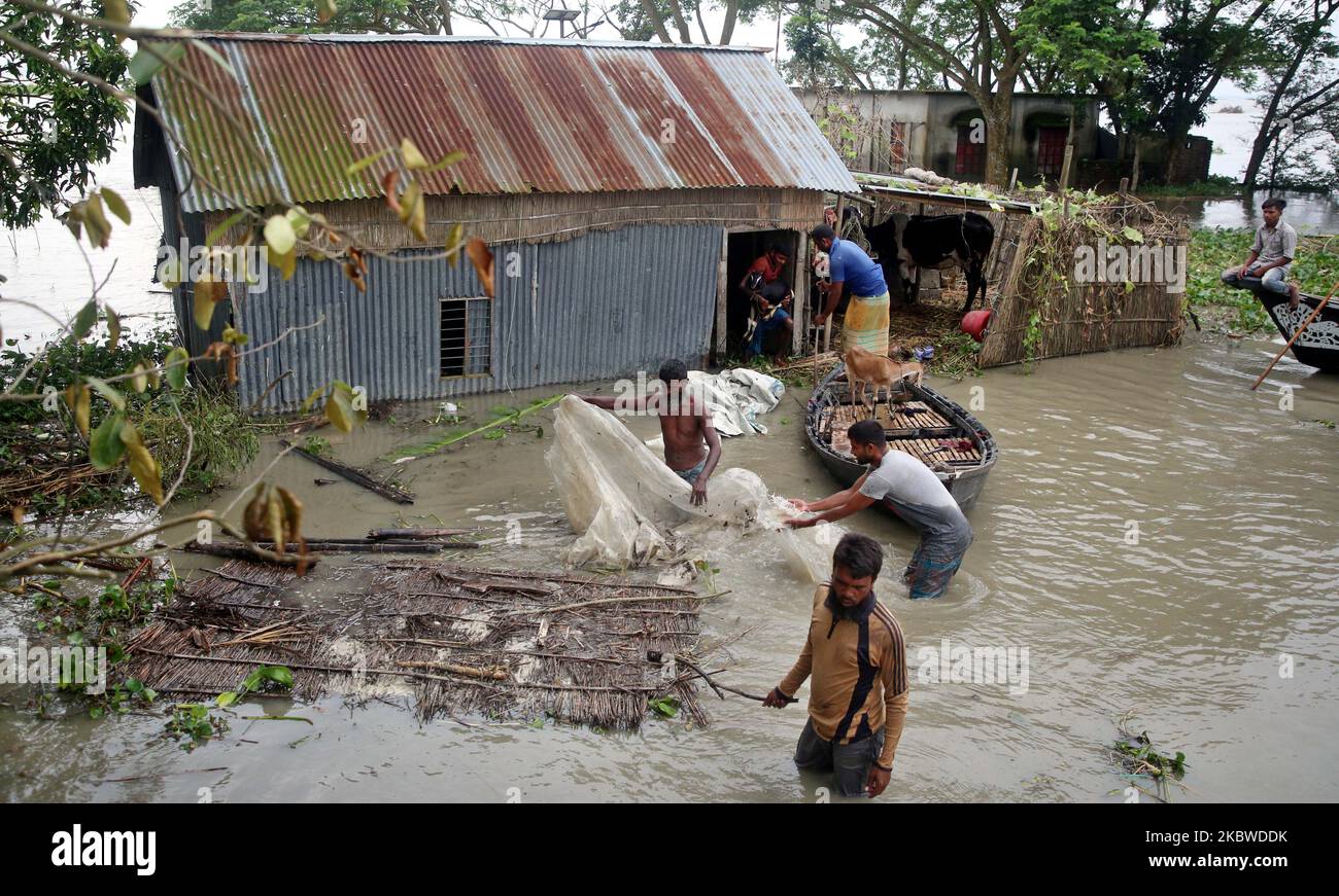 Floodwater has inundated a village at Louhajang upazila in Munshiganj ...