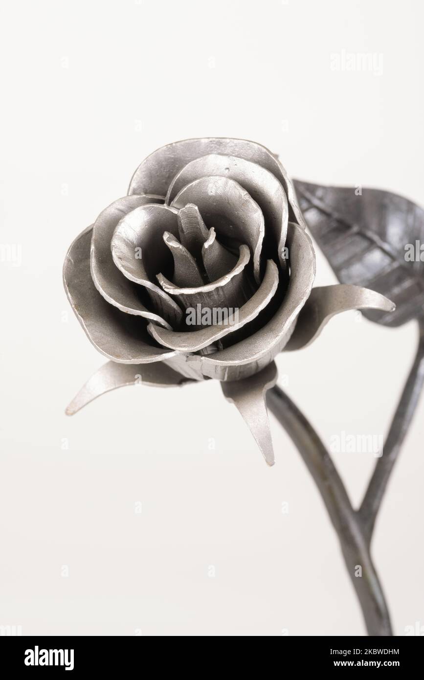 Closeup of a hand forged wrought iron rose Stock Photo - Alamy