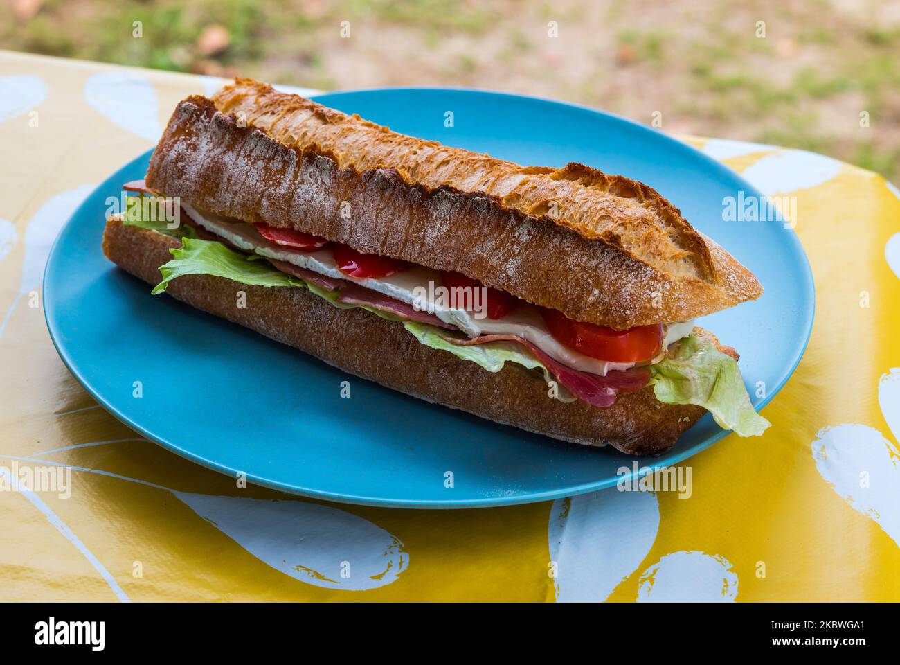 a lunch in france with a brie baguette Stock Photo - Alamy