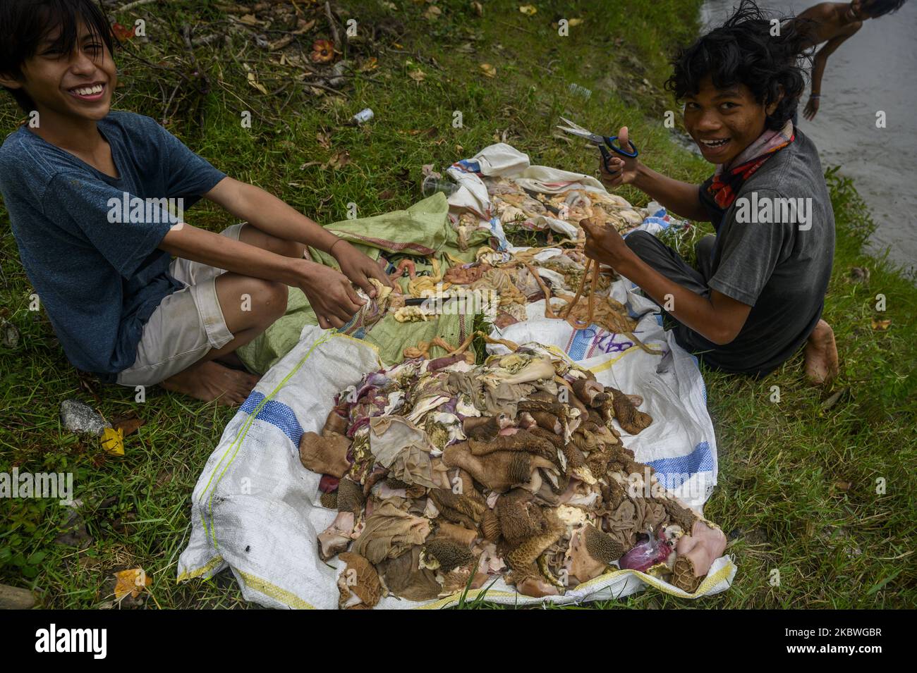 Residents clean the innards of cattle slaughtered during the Eid al ...