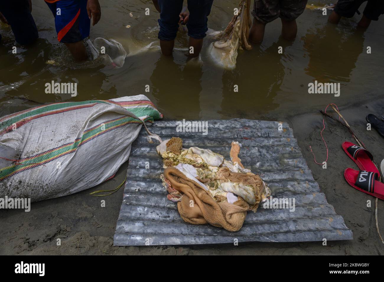 Residents clean the innards of cattle slaughtered during the Eid al ...