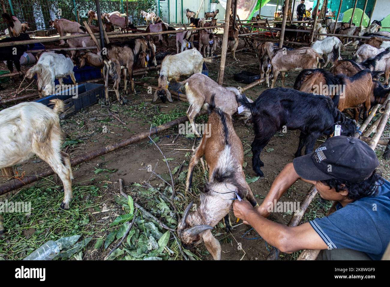 Mosque administration hi-res stock photography and images - Alamy