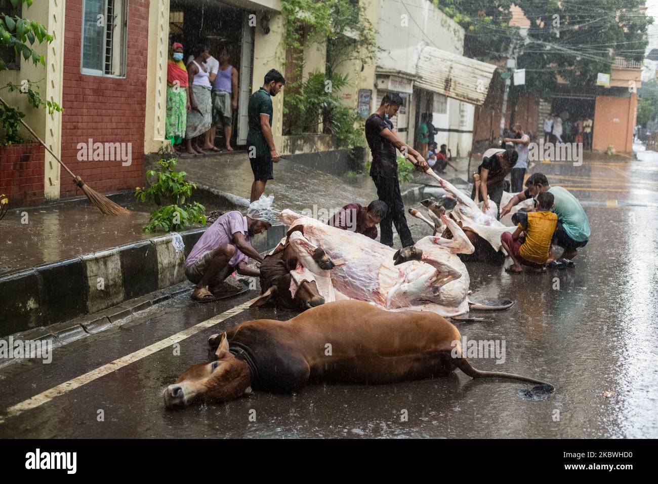 (EDITOR'S NOTE: Graphic Content) Muslim devotees prepare an ox for ...