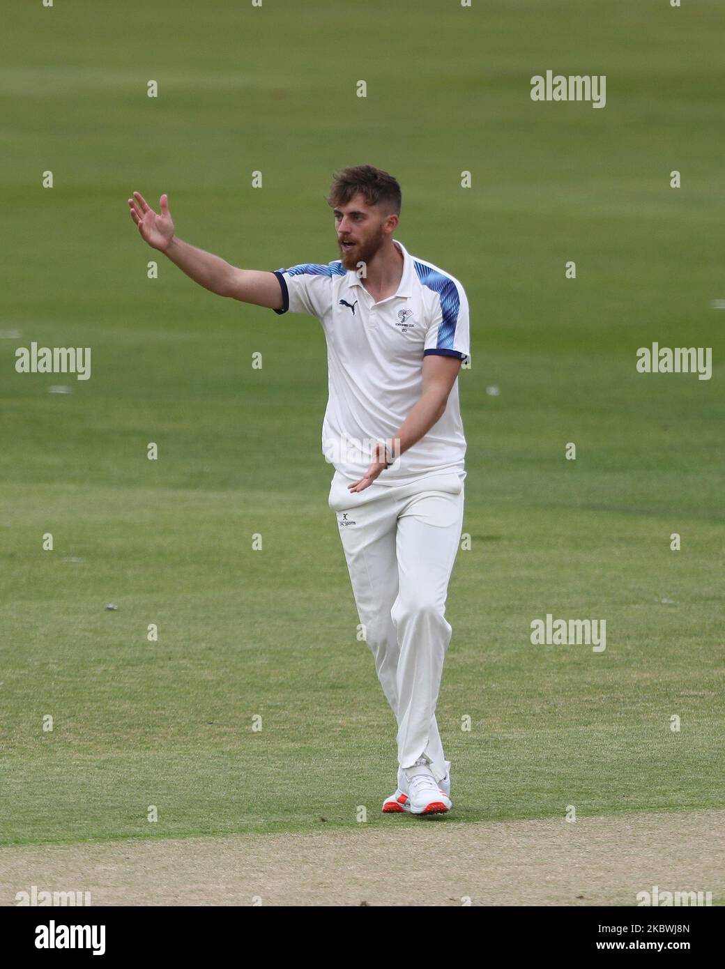 Ben coad of yorkshire hi-res stock photography and images - Alamy