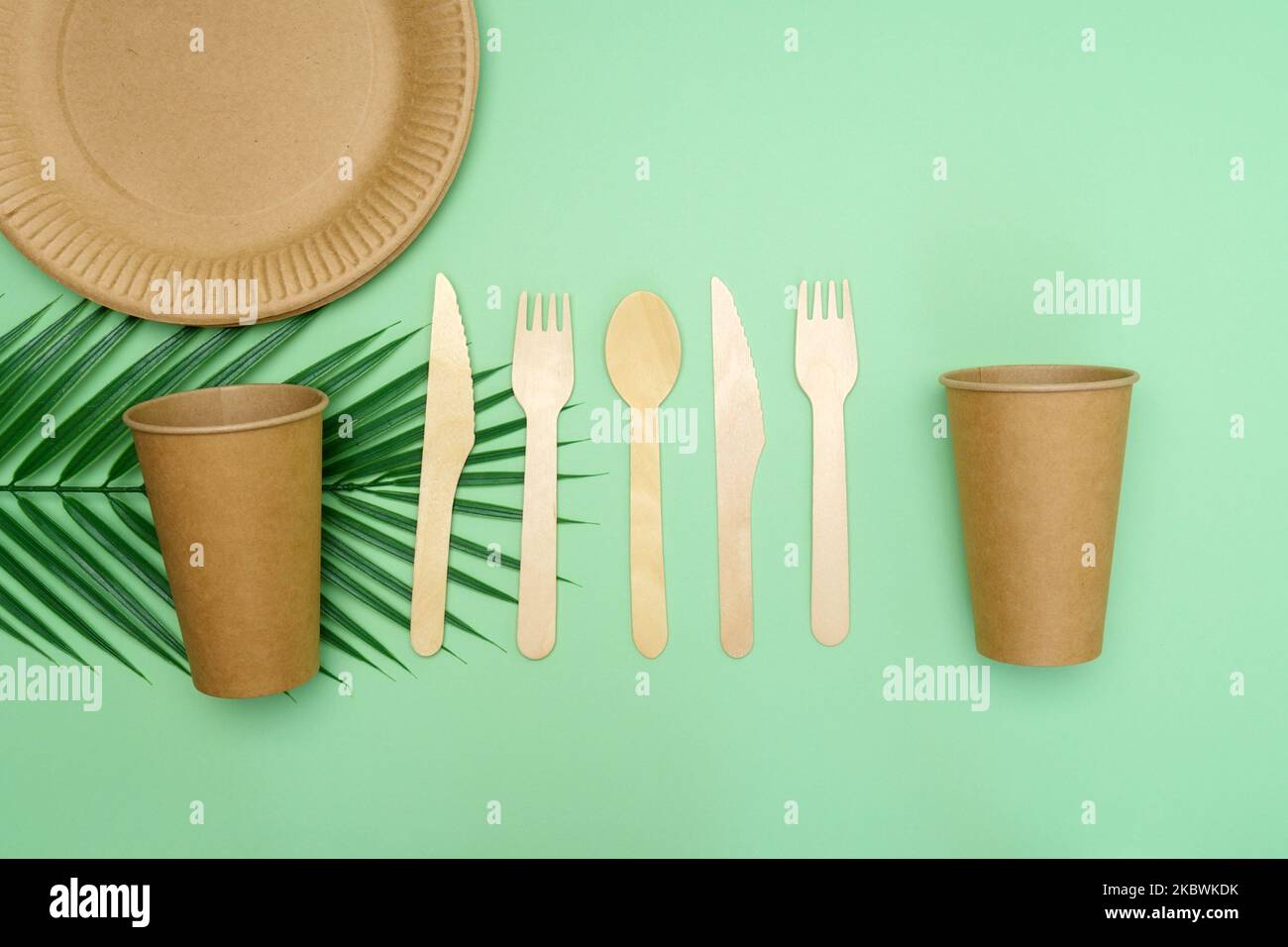 Paper cups, plates and wooden cutlery on a green background. Zero waste ...