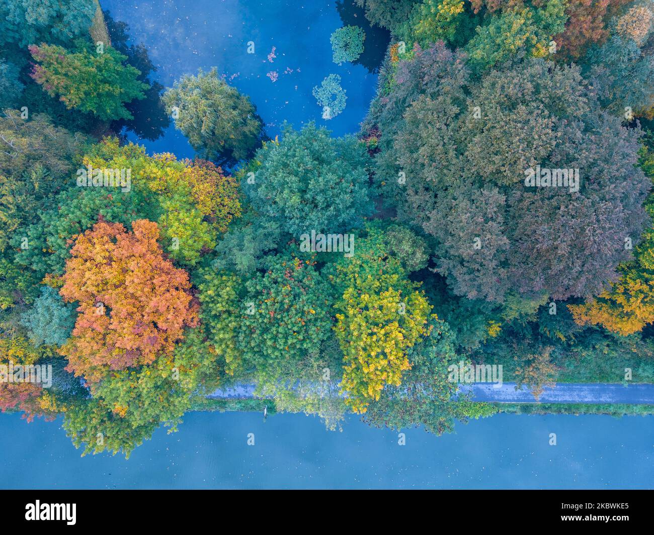 Aerial top view deciduous forest hi-res stock photography and images ...