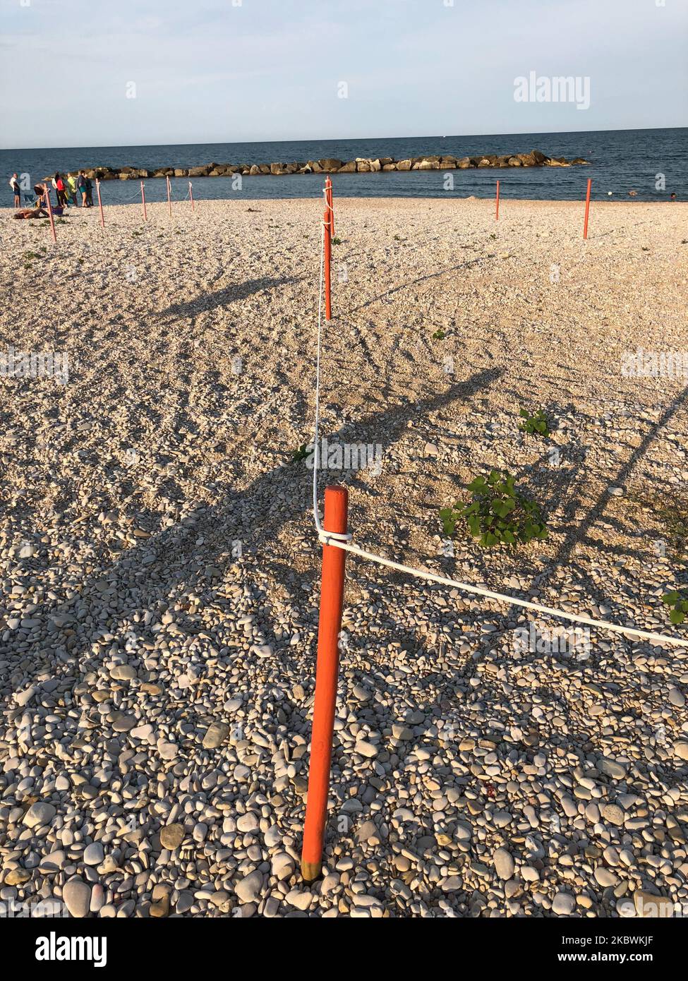 A free beach area equipped according to the rules of social distancing ...